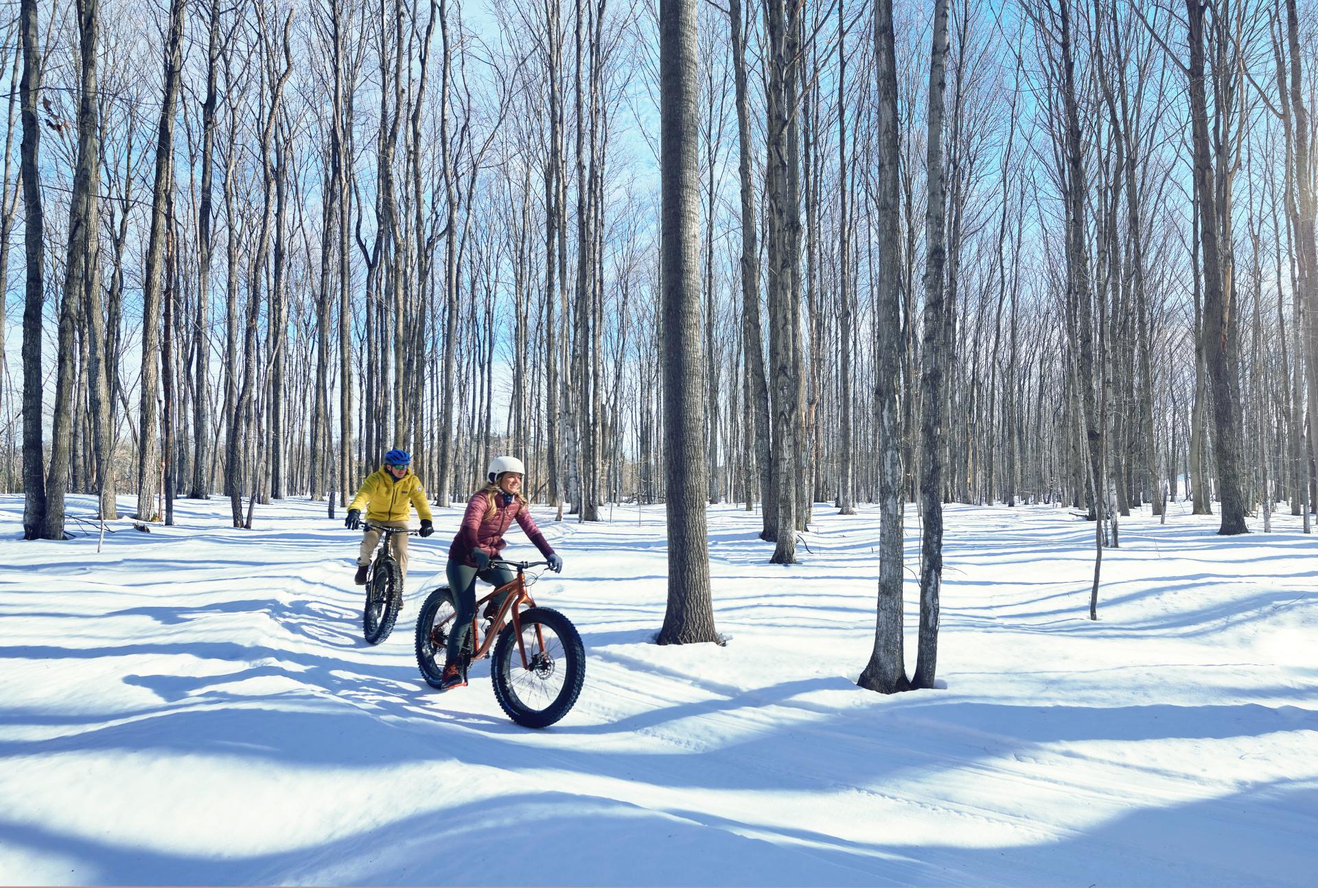 Winter Activities | Crystal Mountain Michigan